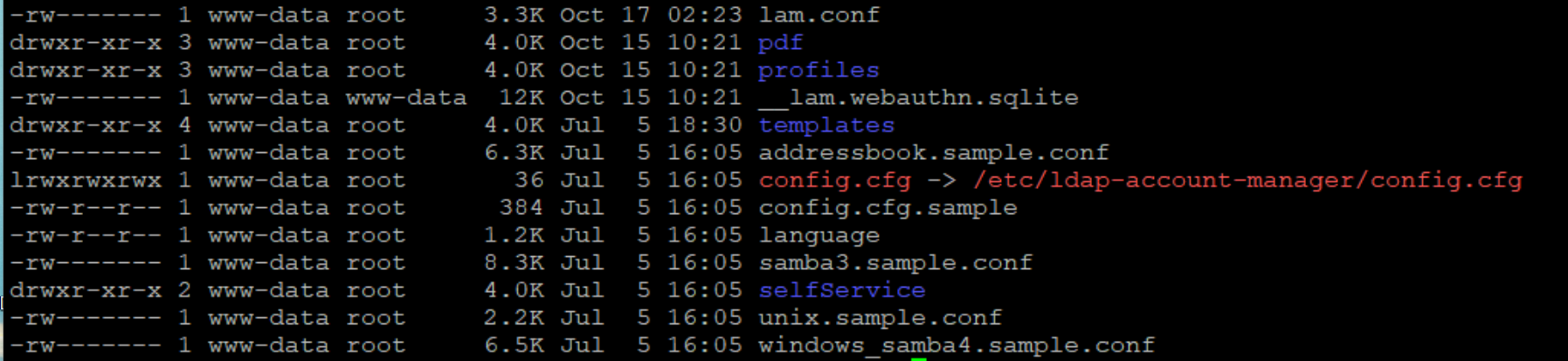 LDAP Account Manager (LAM) のDockerコンテナの設定を永続化する | taiyakon